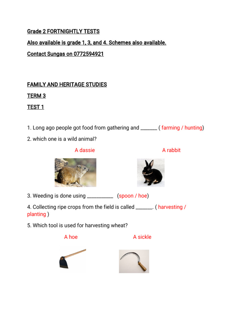 Grade 2 Tests Third Term | PDF