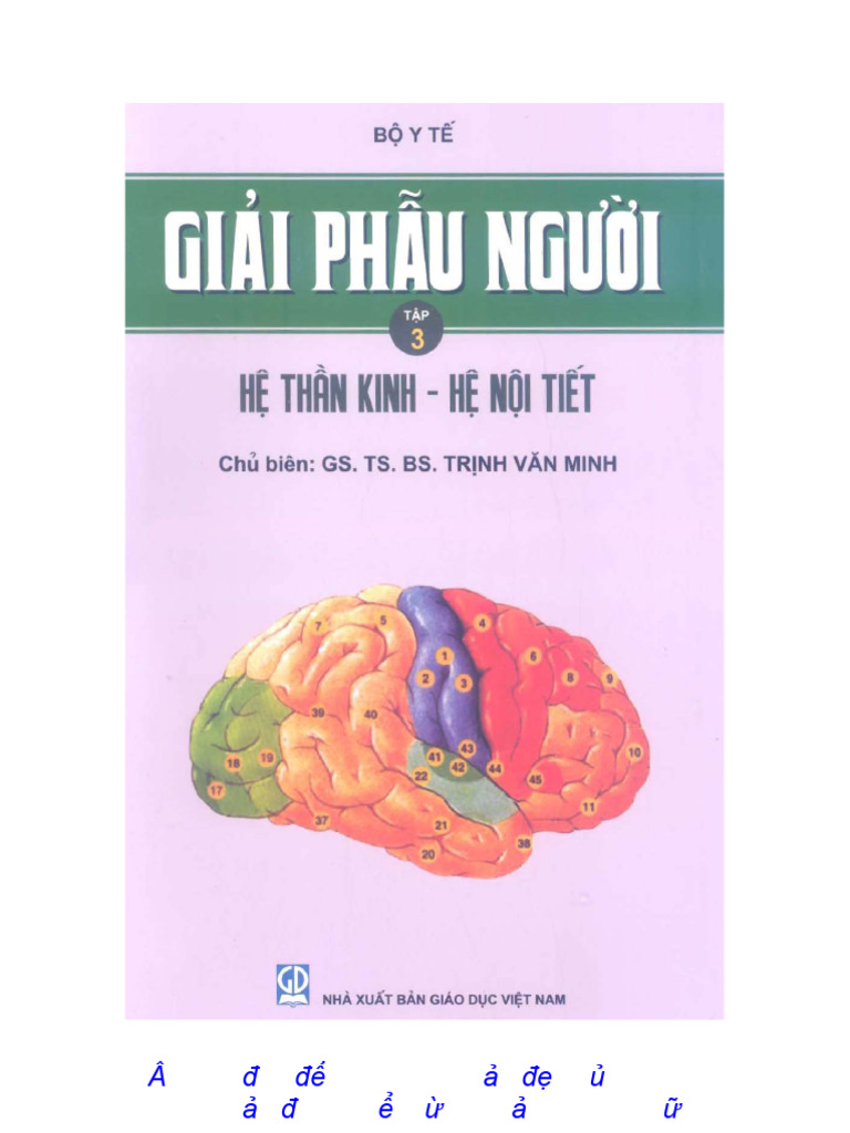(Chiaseyhoc - Net) Giai Phau Nguoi Tap3 TrinhVanMinh YHaNoi 2010 | PDF