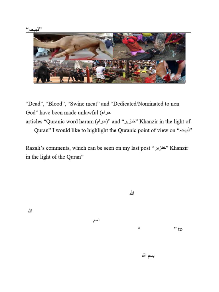 Understanding Halal Slaughter | PDF | Quran | Islam
