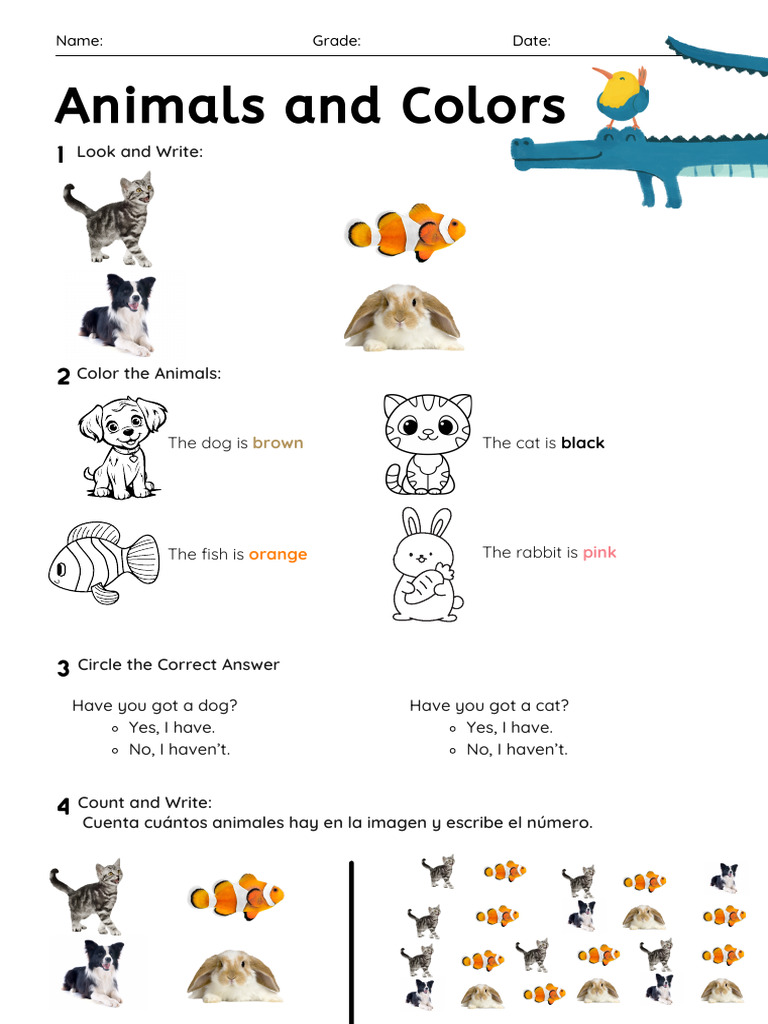 Animals and Colors | PDF