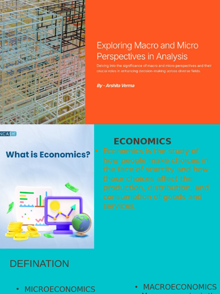 Understanding Macro and Micro Perspectives PDF | PDF