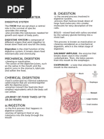 REVISION WORKSHEET ON DIGESTIVE SYSTEM-Gr 6 | PDF | Digestion | Human ...