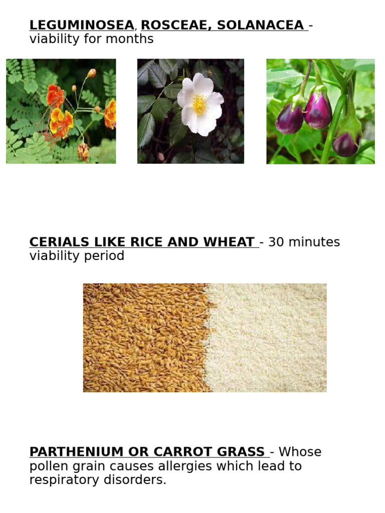 CLASS 12 Bio Examples | PDF