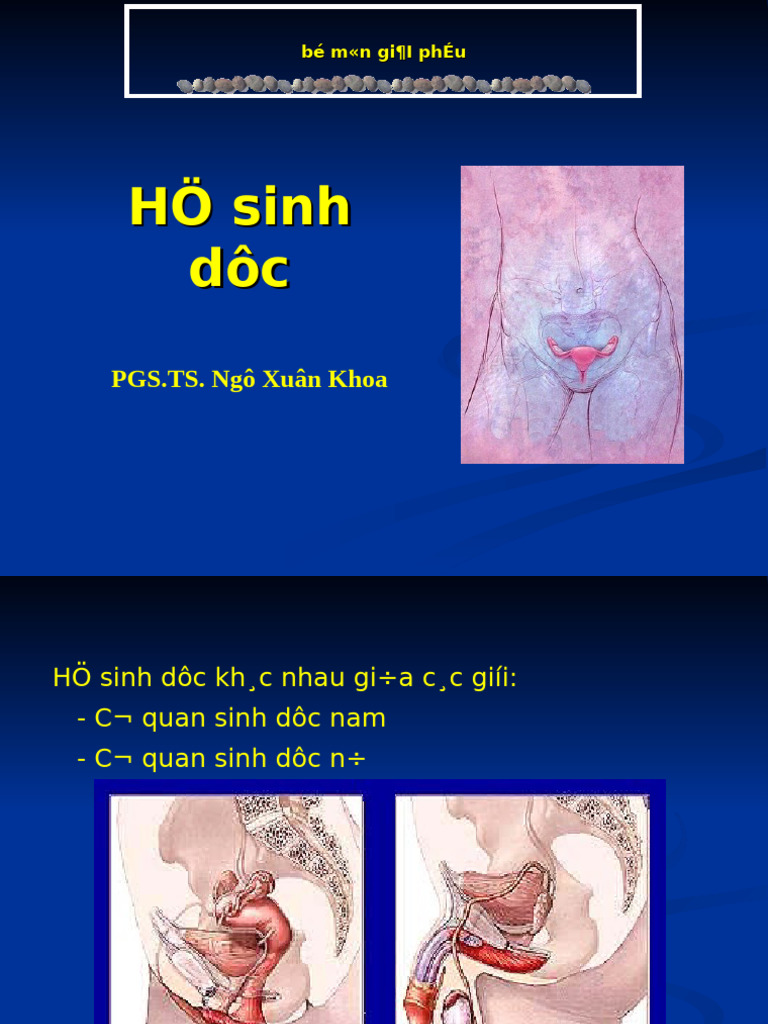 SV-He Sinh Duc | PDF