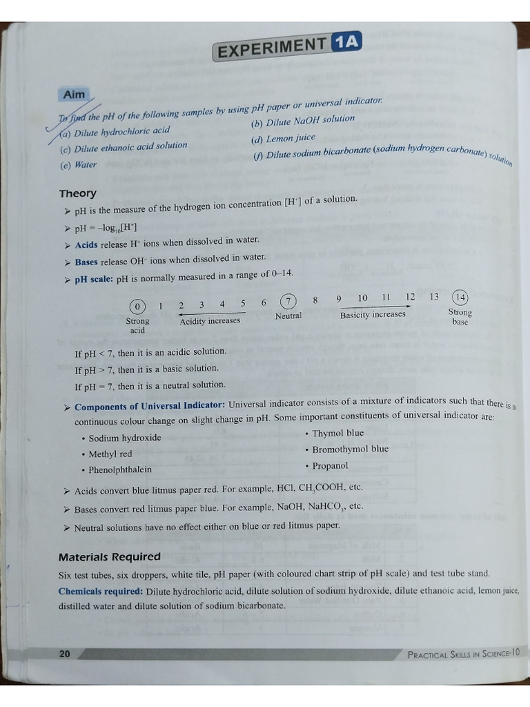 Science Practical | PDF