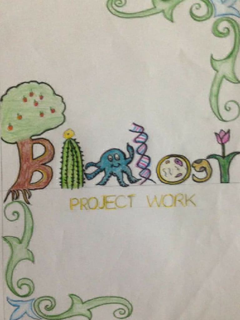 Phylum Porifera Overview | PDF