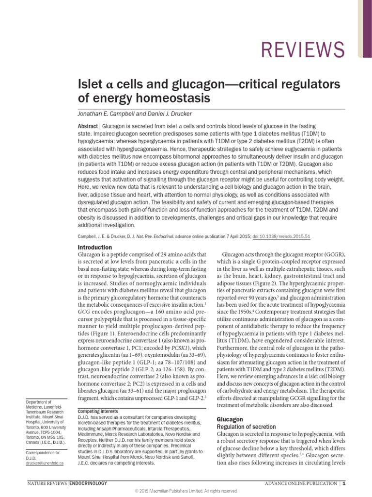 Islet Alfa Cells and Glucagon | PDF | Diabetes | Insulin