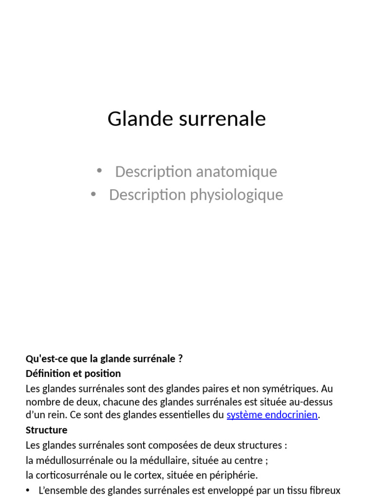 Anatomie et fonctions de la glande surrénale | PDF | Glande surrénale ...