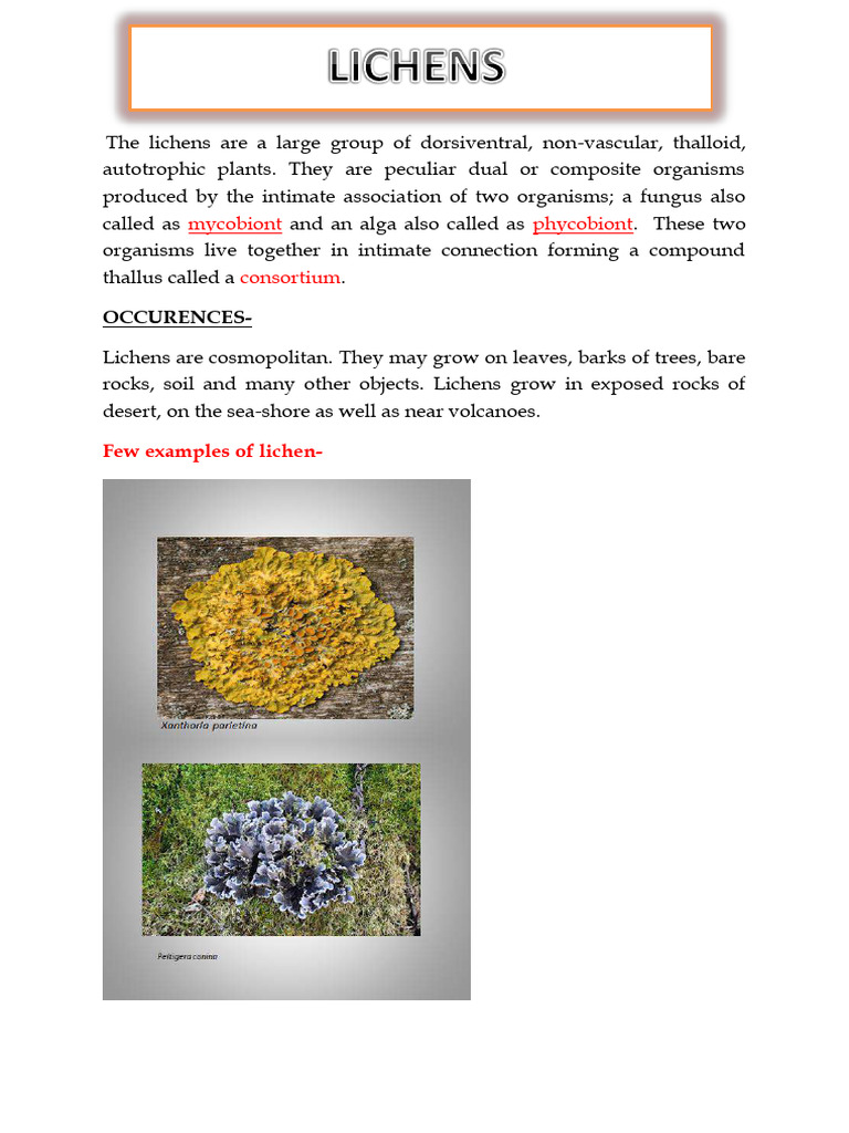 Raja Kumar Lichan | PDF | Mycology | Organisms