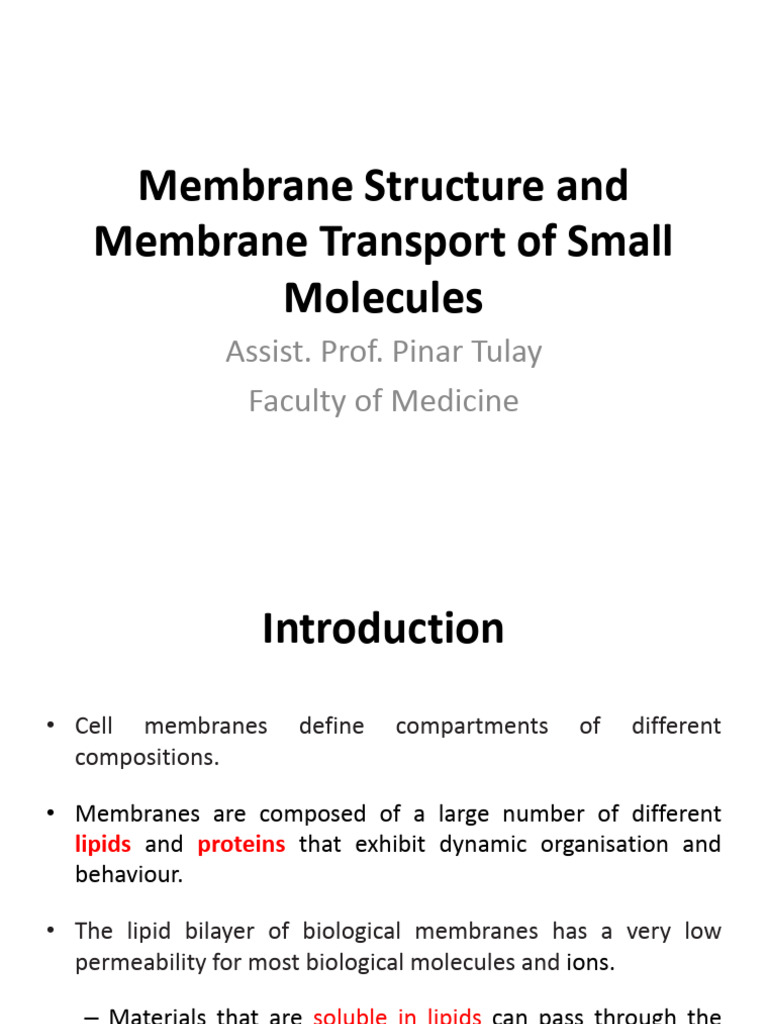Lecture 4 Membrane Structure and Membrane Transport of Small Molecules ...