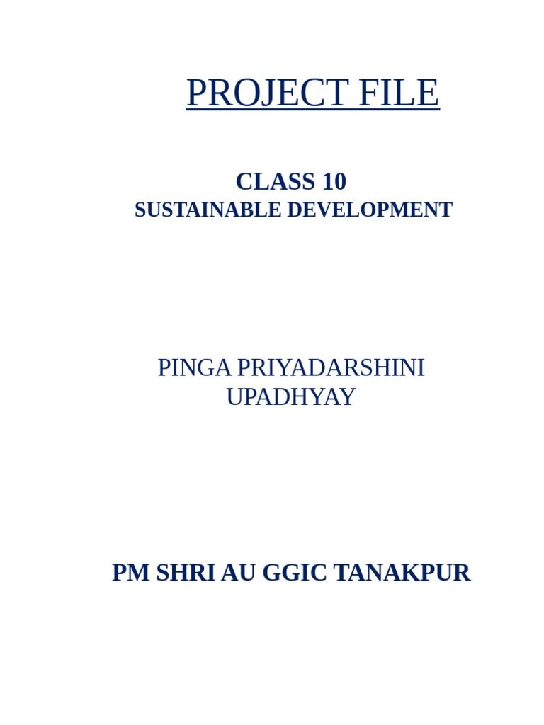 Project File: Class 10 | PDF