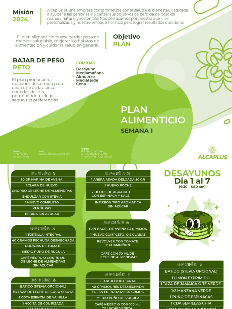 plan alimenticio new | PDF | ensalada | Vegetales