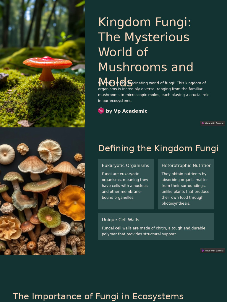 Exploring the Kingdom of Fungi | PDF | Fungus | Plants