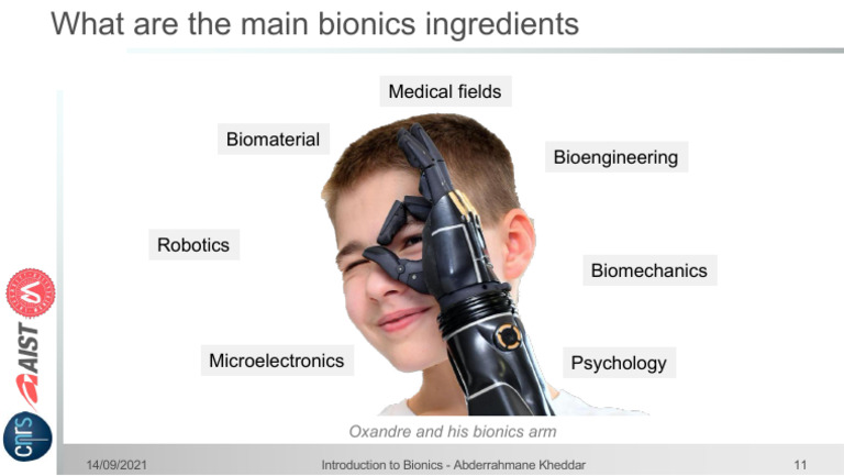 Bionics-11 | PDF