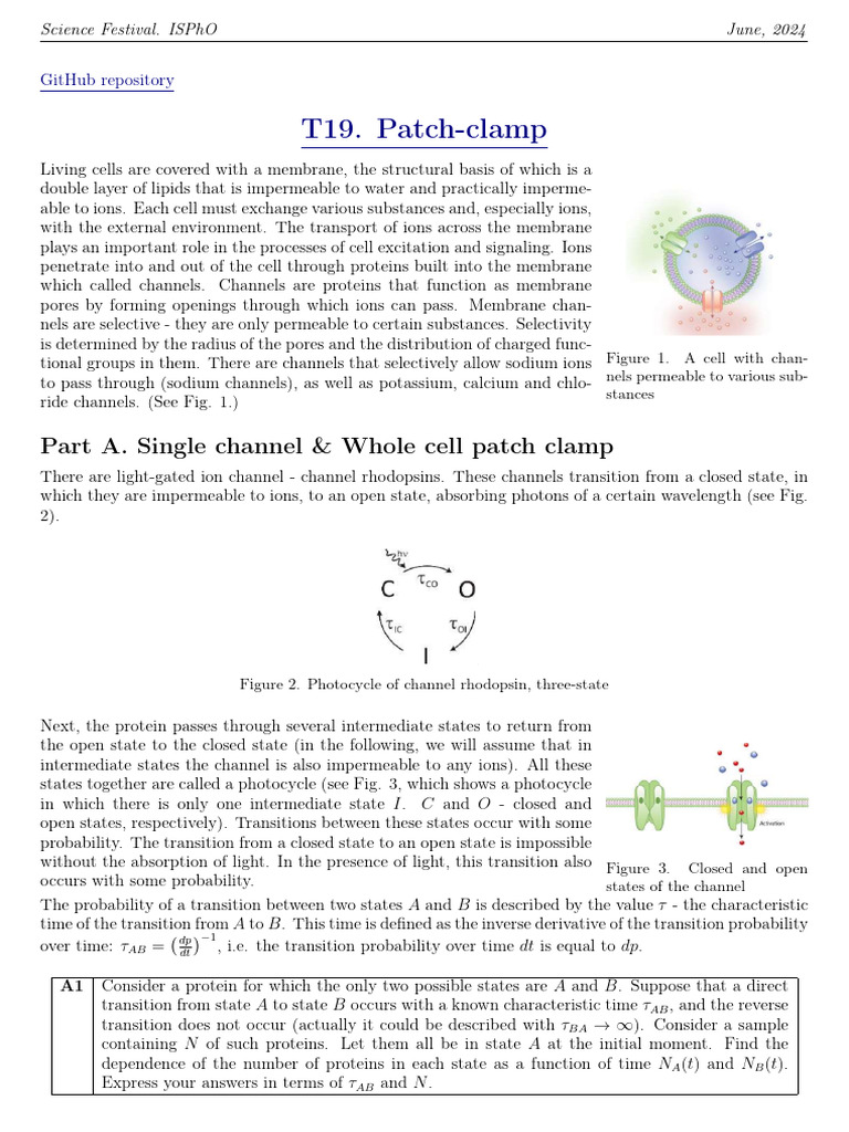ISPhO 2024 Science Festival LG Proteins | PDF | Ion Channel | Applied ...