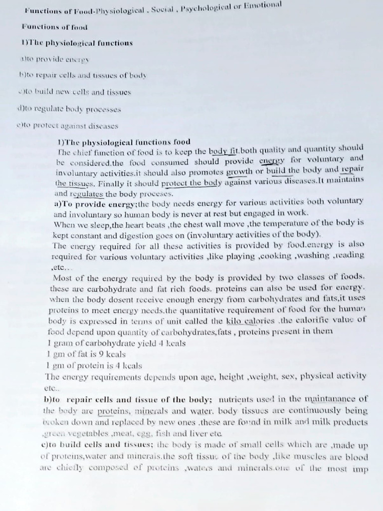 Functions of Food Groups | PDF | Food Energy | Nutrients