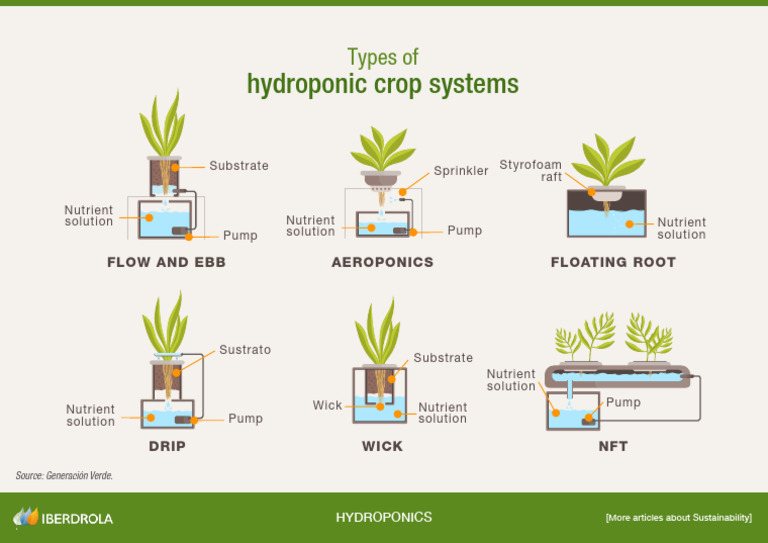 Infographic_Hydroponic_Crop_Systems | PDF