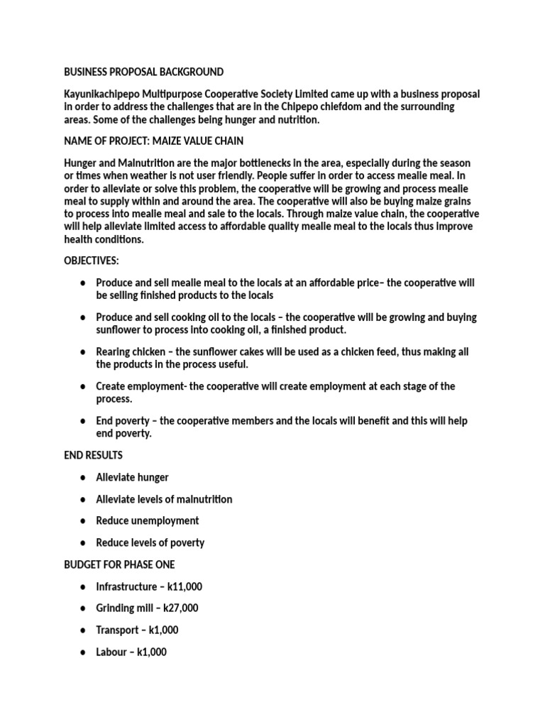 Business Proposal Background and Budget 1 | PDF