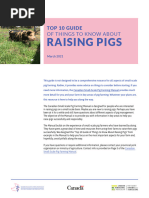 Beginners Guideto Pig Productionand Management AComprehensive ...