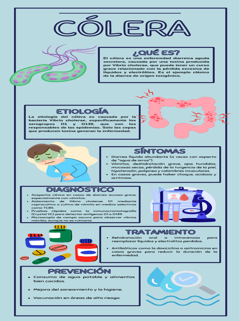 Infografía-Cólera | PDF