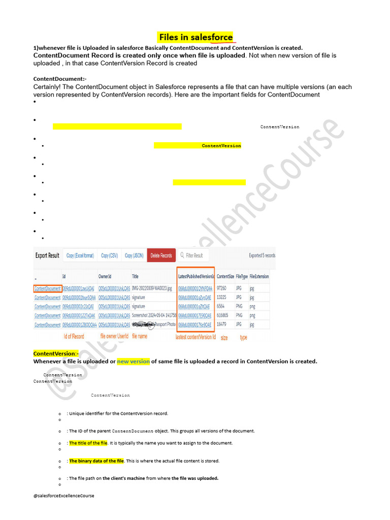 Salesforce Part 3 | PDF | Computer File | File Format