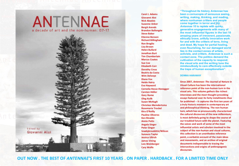 Antennae 10 A Decade of Art and The Non | PDF