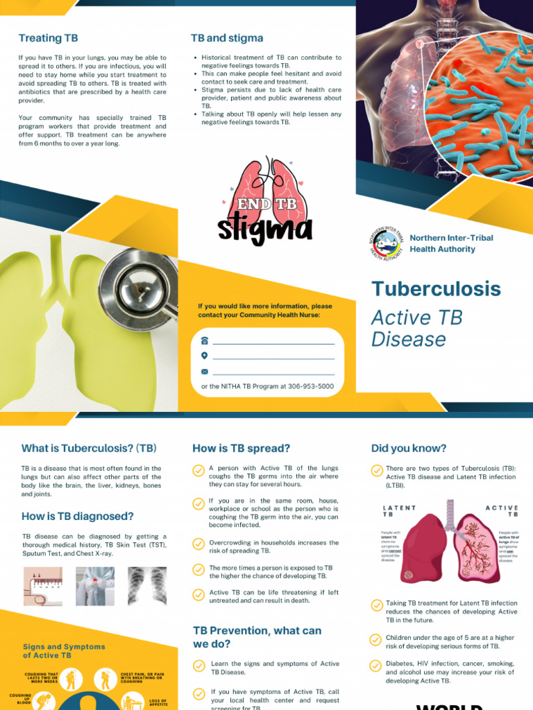 Tuberculosis Active TB Disease Trifold Brochure 2023 | PDF