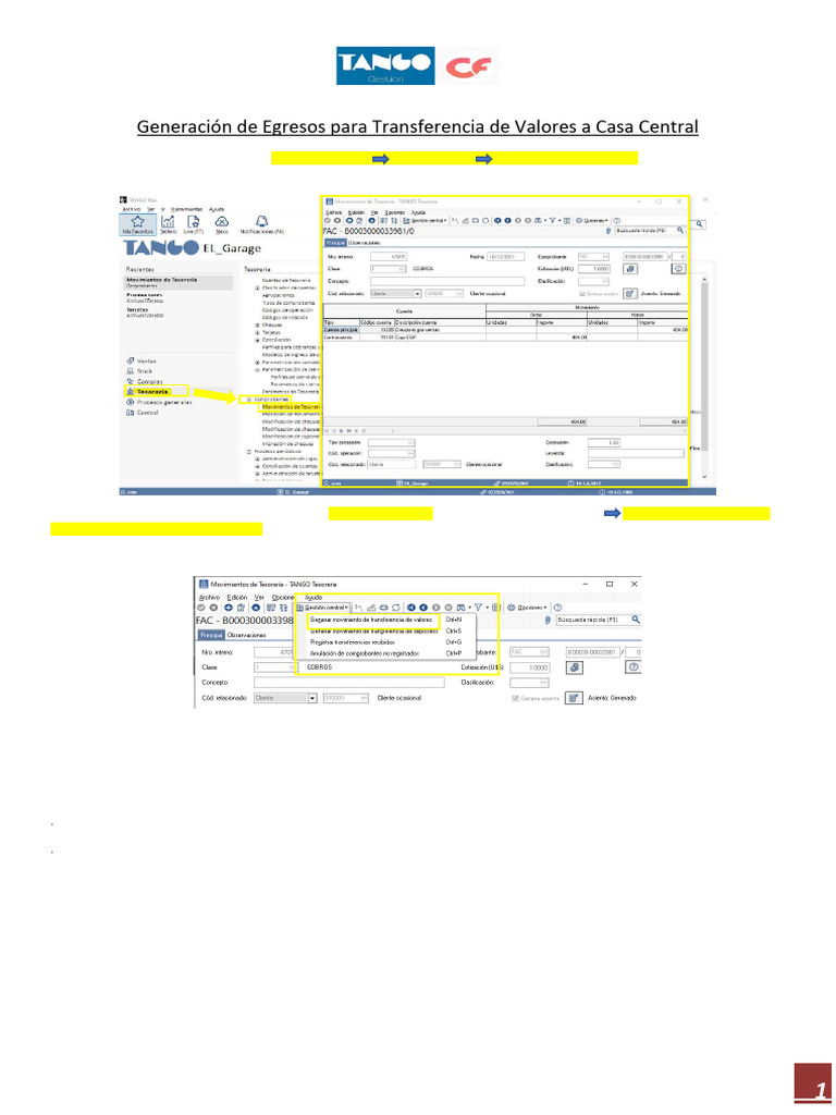 INSTRUCTIVO - Generación de Egresos para Transferencia de Valores | PDF | Transferencia bancaria ...
