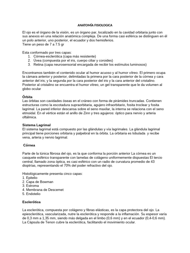 Anatomía Fisilogica Del Ojo | PDF | Percepción visual | Retina