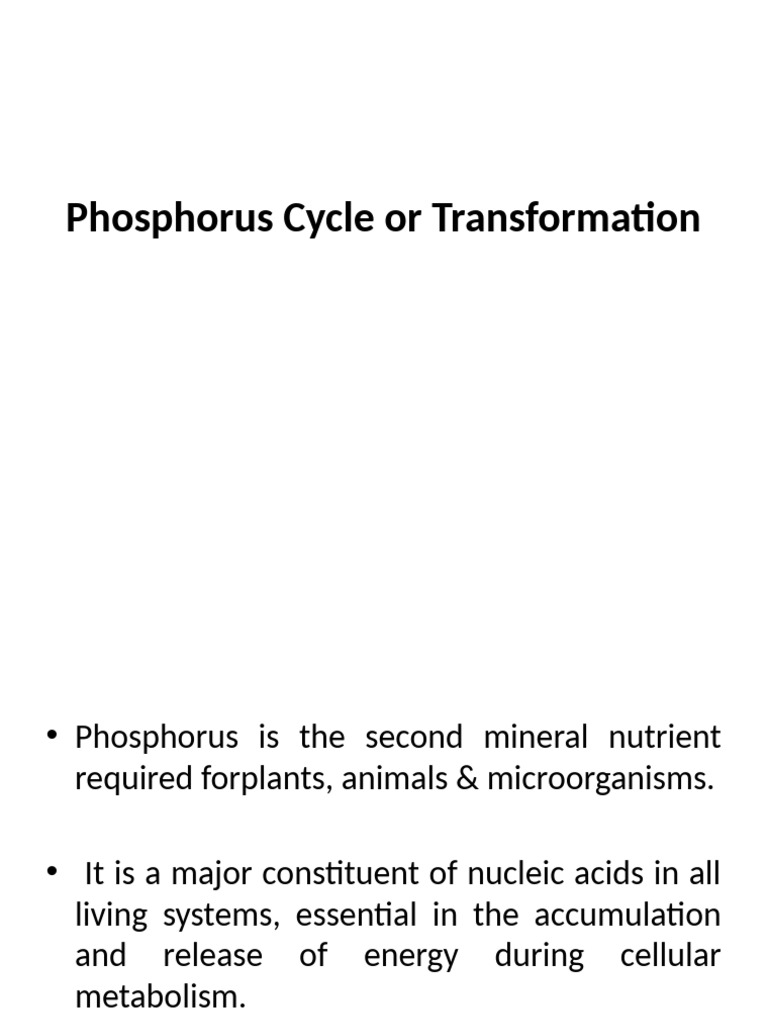 Phosphorus Cycle or Transformation | PDF | Soil | Phosphate