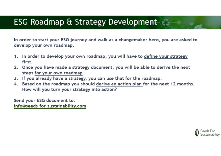 ESG Strategy & Roadmap Guide | PDF