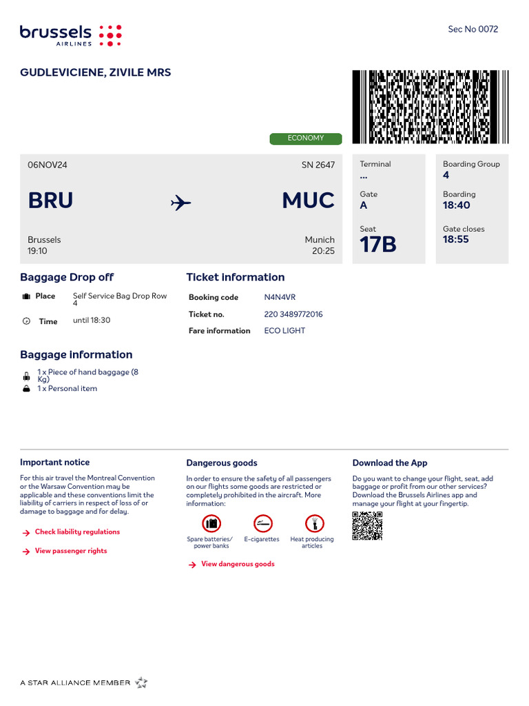 Vuelo | PDF | Baggage | Civil Aviation