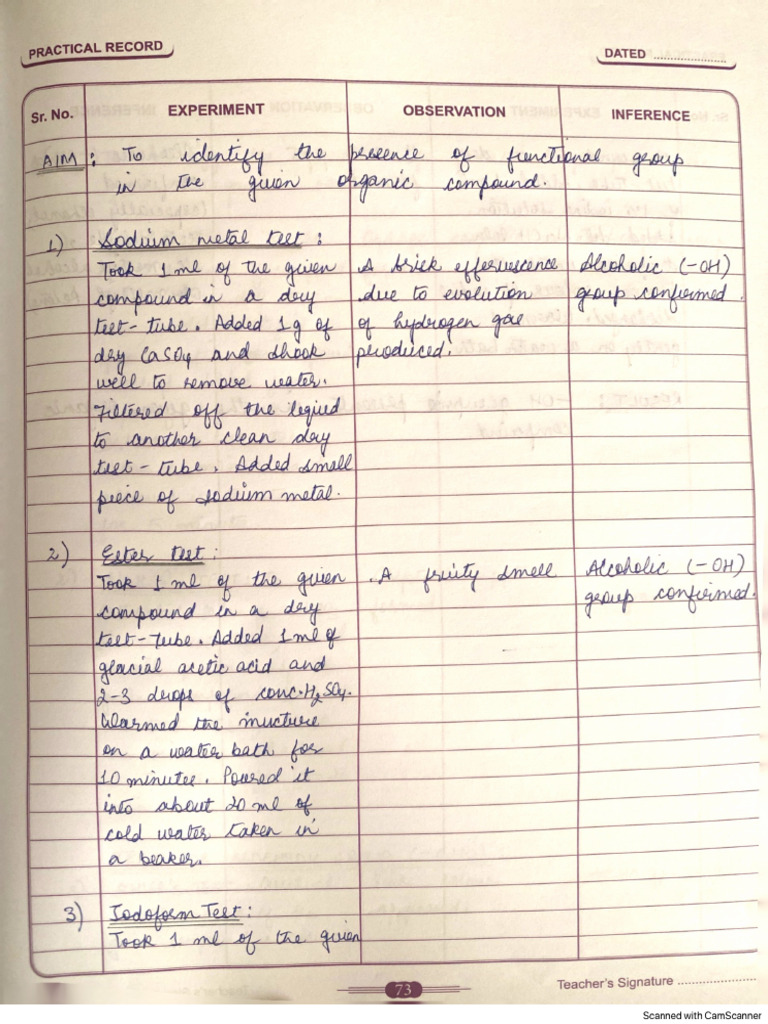 Functional Groups & Food Stuff | PDF
