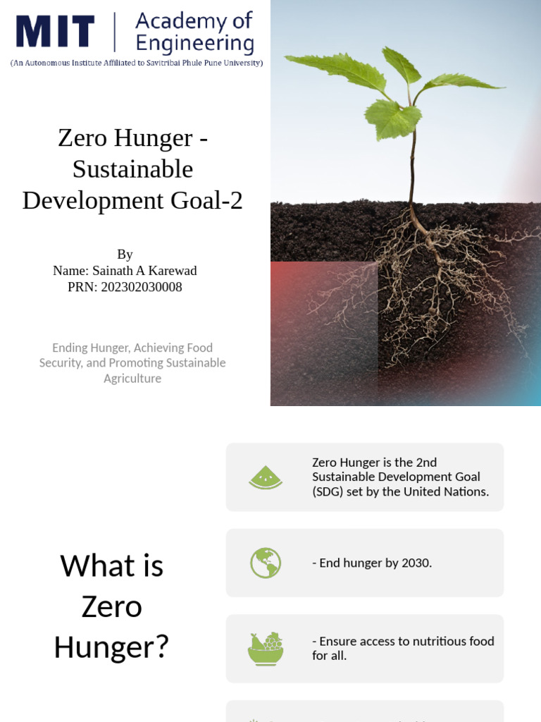 Achieving Zero Hunger: A Global Goal | PDF | Hunger | Natural Environment
