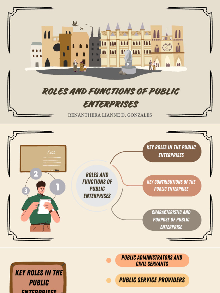 Role and Functions of Public Enterprises | PDF