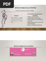 Extraoral Anatomical Landmarks Guide | PDF | Skull | Human Head And Neck