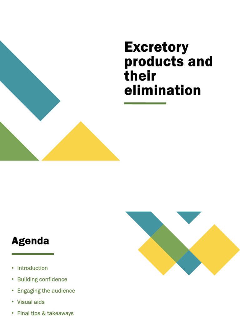 3-EPE | PDF | Kidney | Urinary System