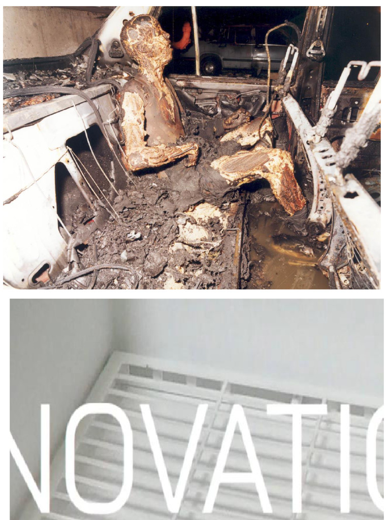 Fire Investigation and Arson Analysis | PDF | Fires | Combustion
