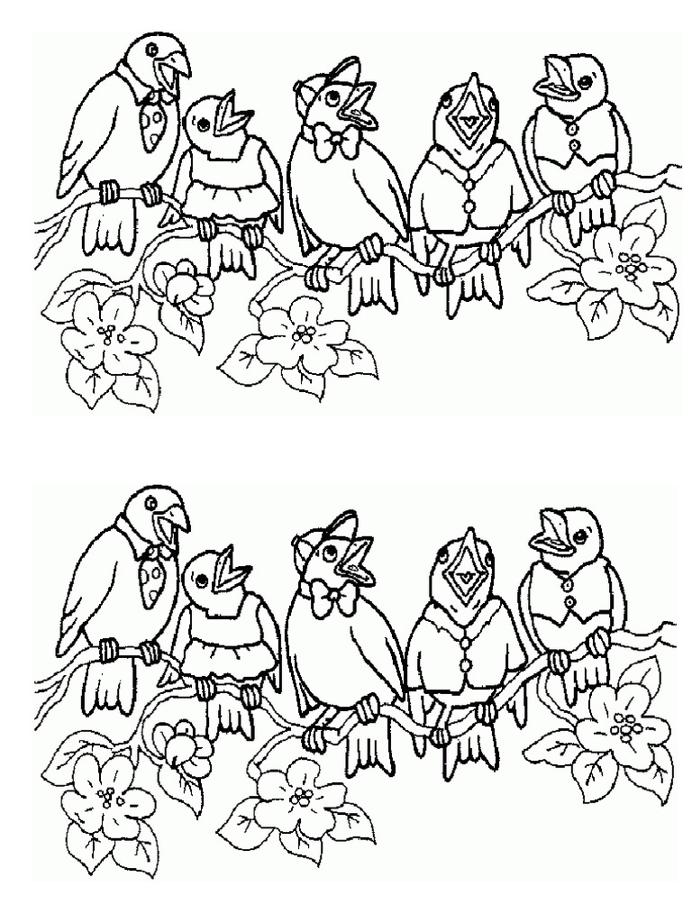 Pasari de Colorat | PDF