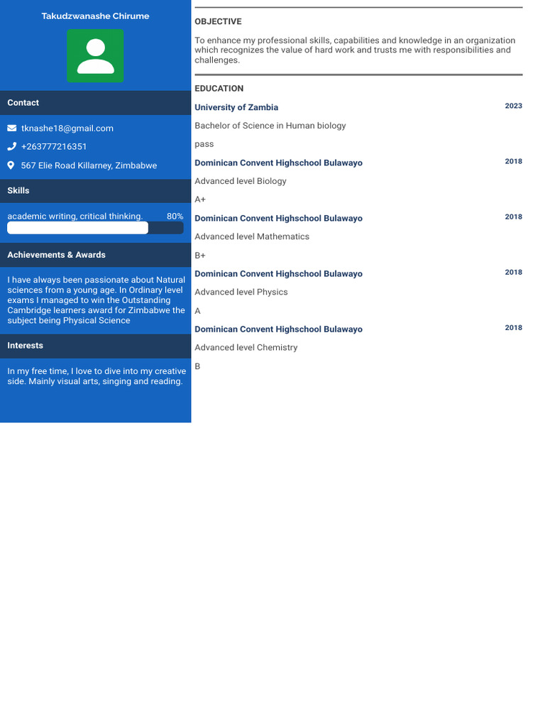 Takudzwanashe Chirume: Academic Achievements & Skills | PDF