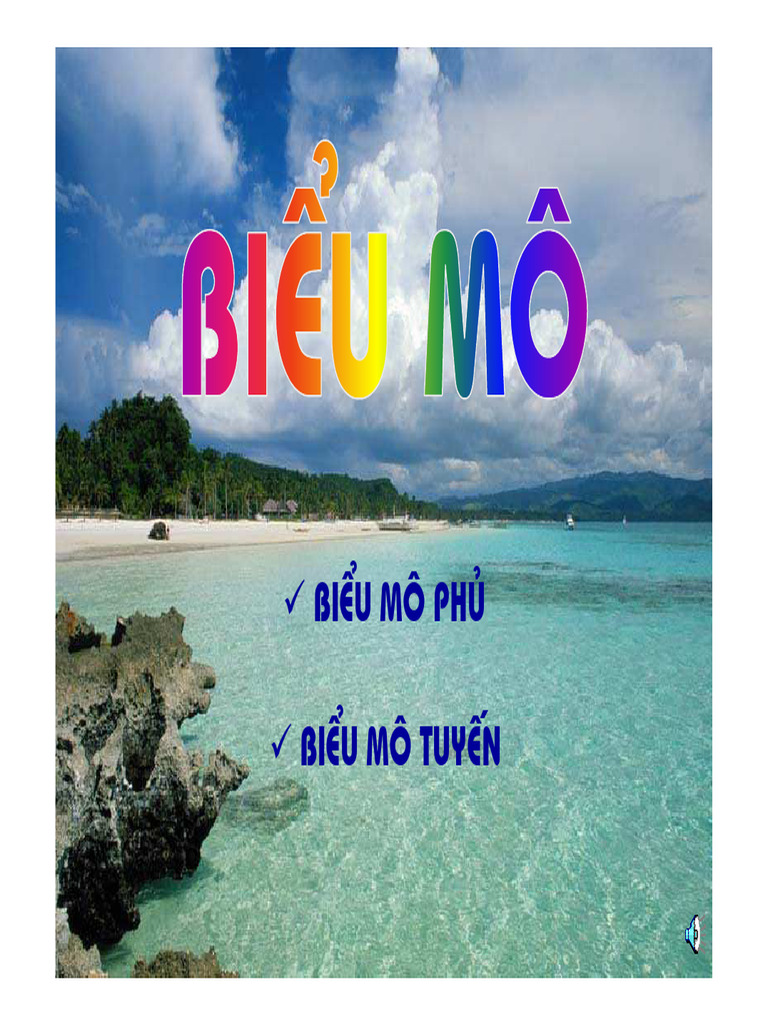 Bieu Mo | PDF