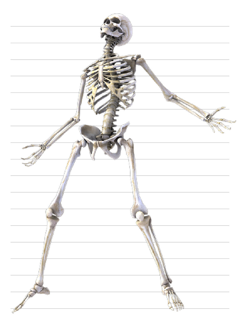 VSTP | PDF