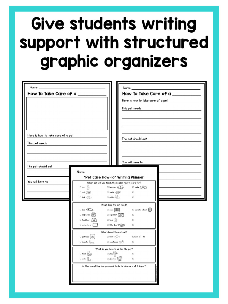 Structured Graphic Organizers Preview | PDF