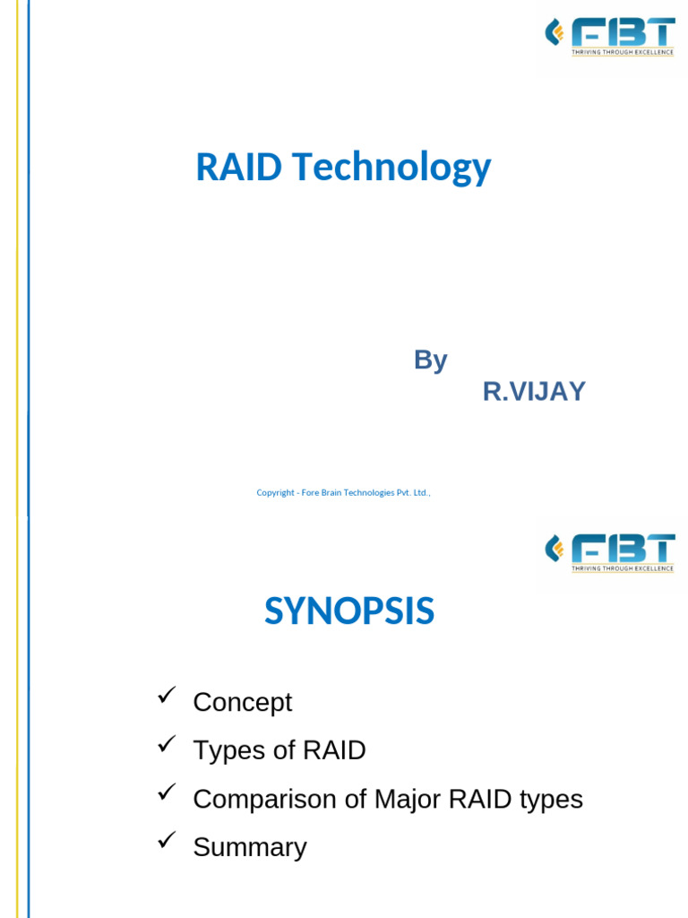 RAID | PDF | Data Management | Computer Science