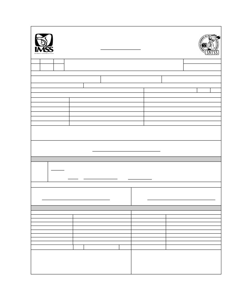 Formato 027 2021 | PDF