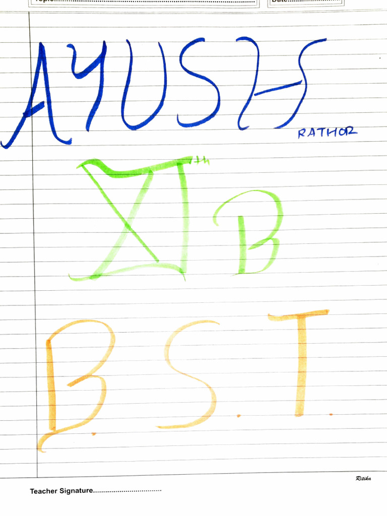 Ayush Rathore, 11-B, BST Project | PDF