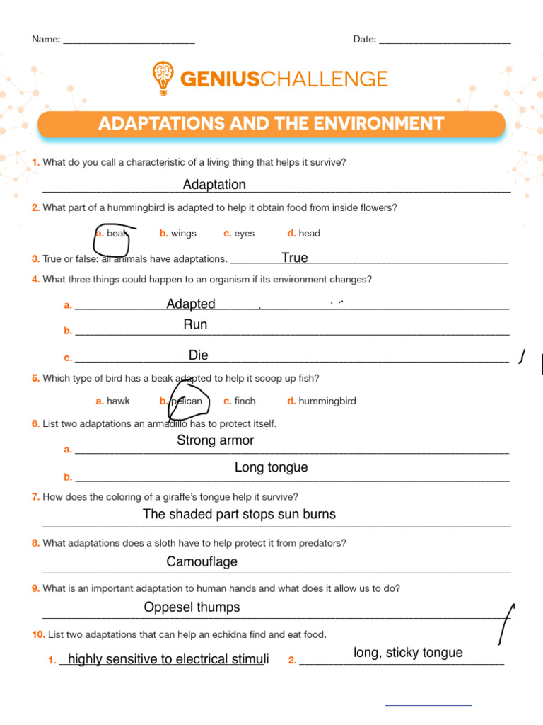 Adaptations Worksheet GG | PDF | Adaptation | Biology