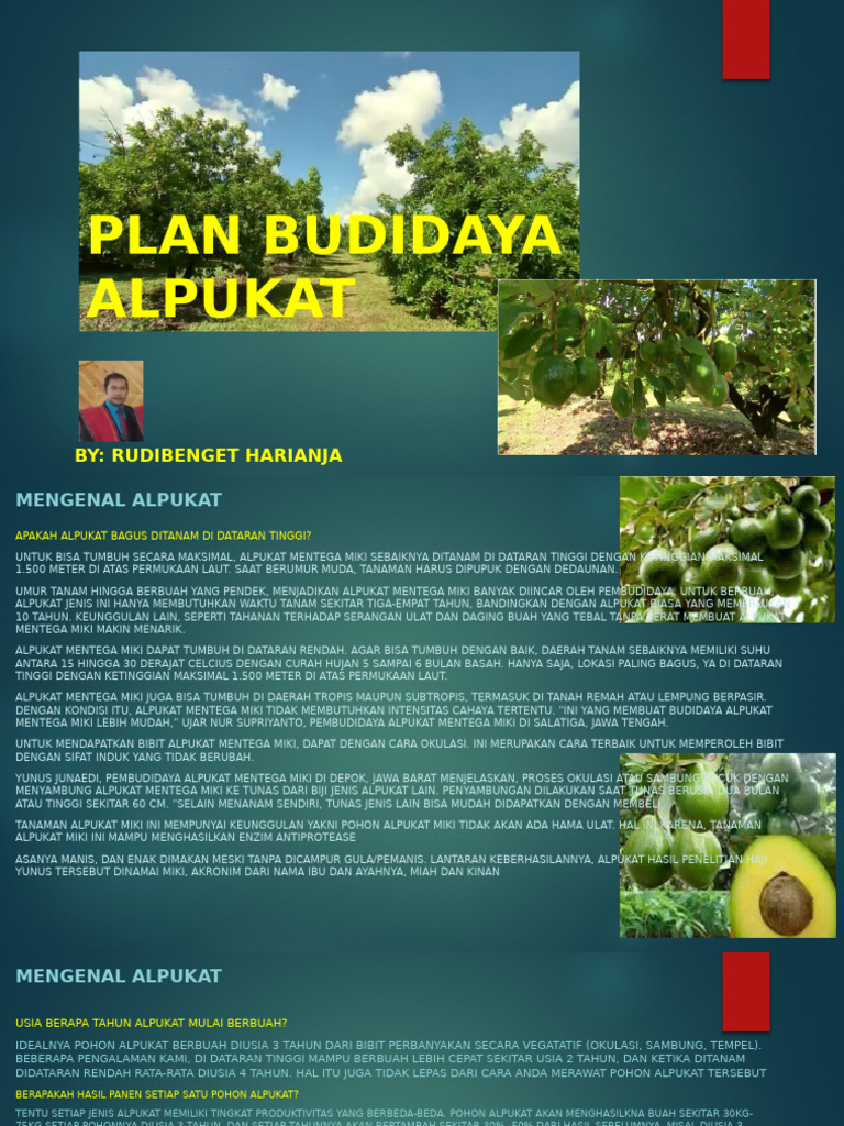 Rab Budidaya Alpukat | PDF