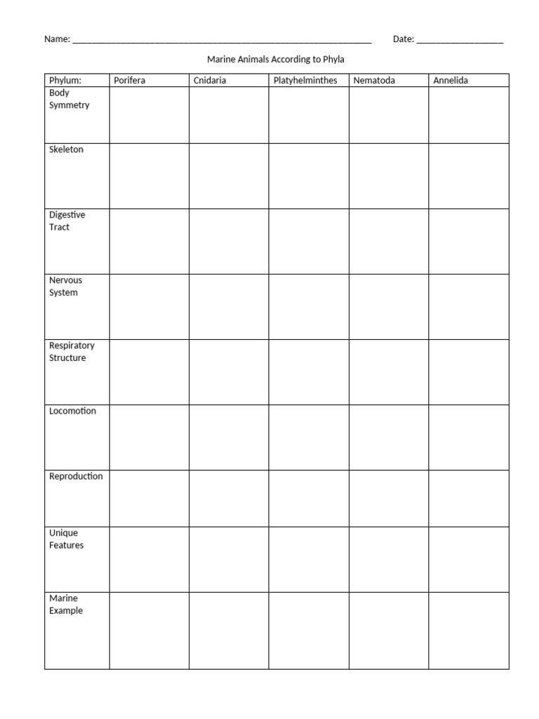 Marine Animals Phyla Update TABLE ONLY | PDF