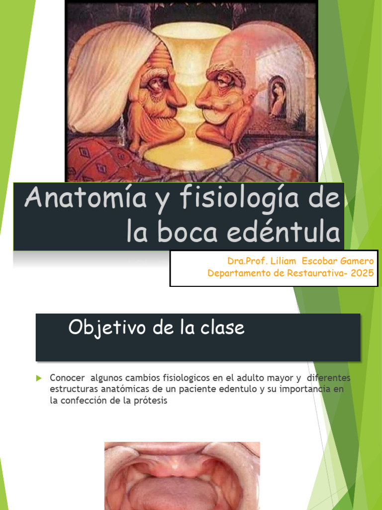 1 Anatomiay Fisiologia de La Boca Edentula | PDF